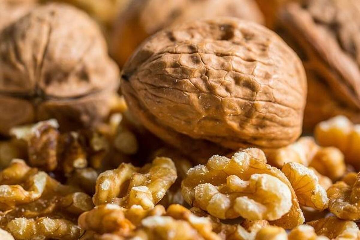 Regular walnut consumption linked to greater longevity, reduced death ...