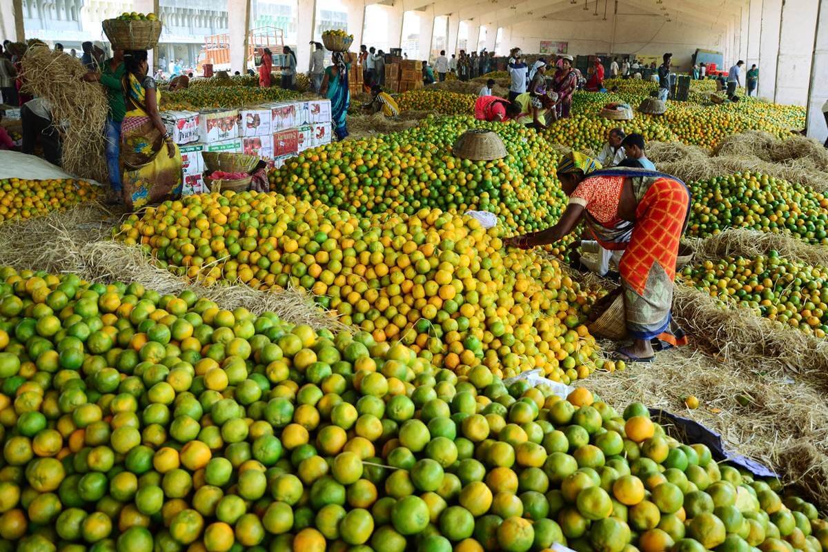 Nagpur: The Orange city of India - Sarkardaily : Breaking News | Latest ...